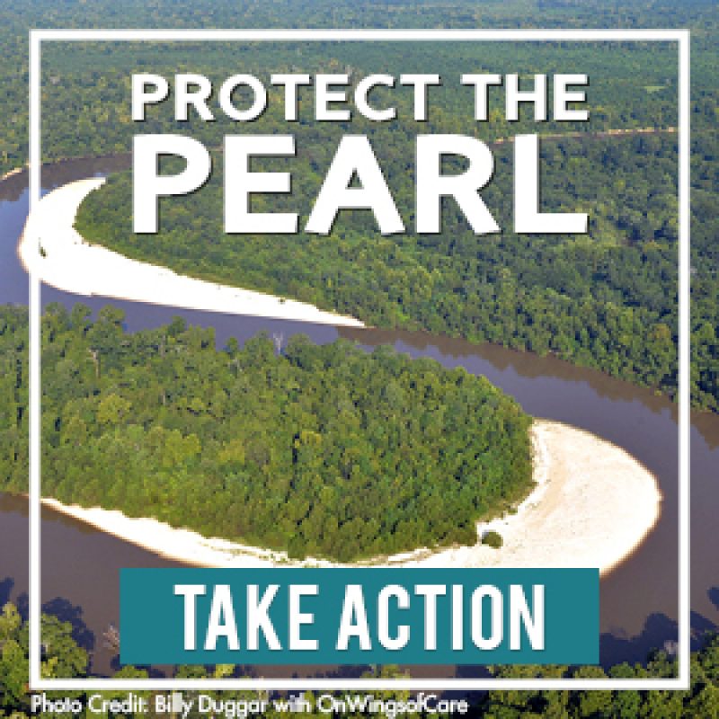 One River, No Lake - Healthy Gulf