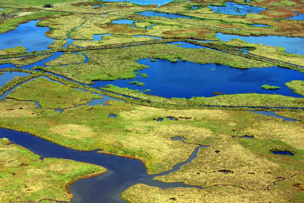 Protect Clean Water - Healthy Gulf