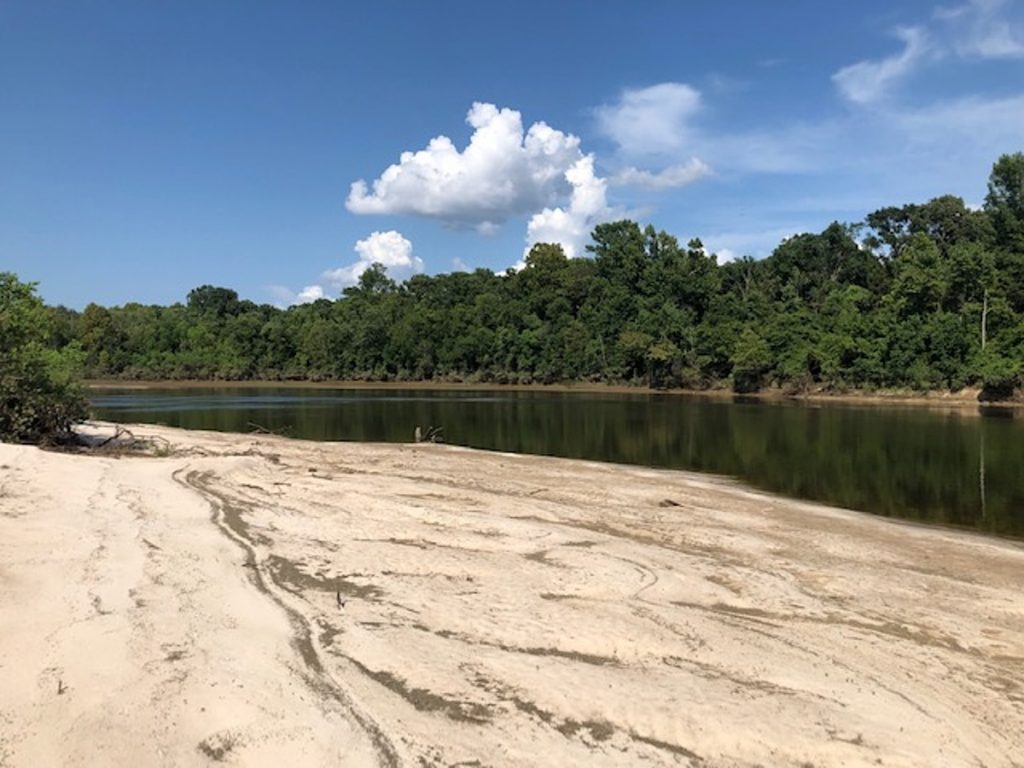 One River, No Lake - Healthy Gulf