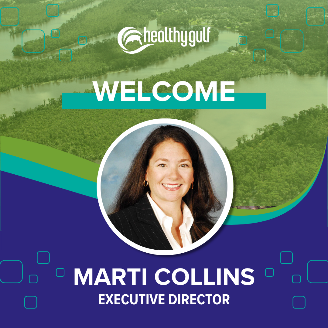 Healthy Gulf appoints new Executive Director Martha Collins - Healthy Gulf